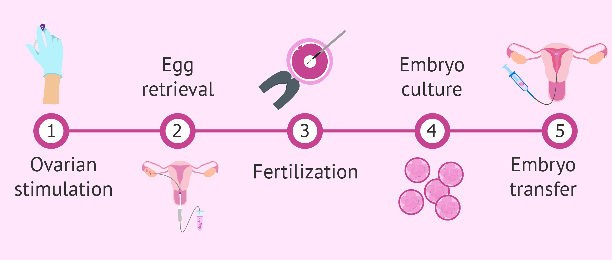 IVF Surrogacy Process Step By Step